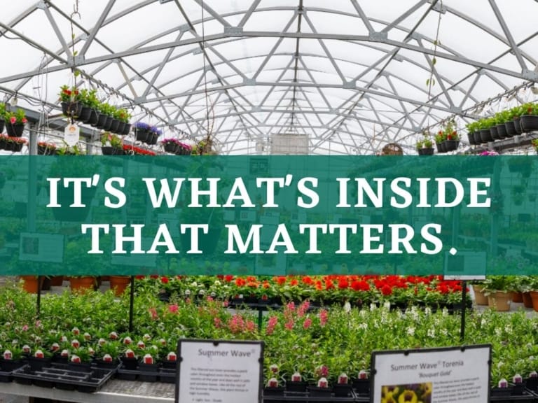 Home | Chippewa Valley Growers