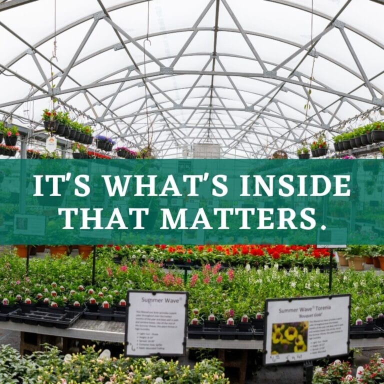 Home | Chippewa Valley Growers